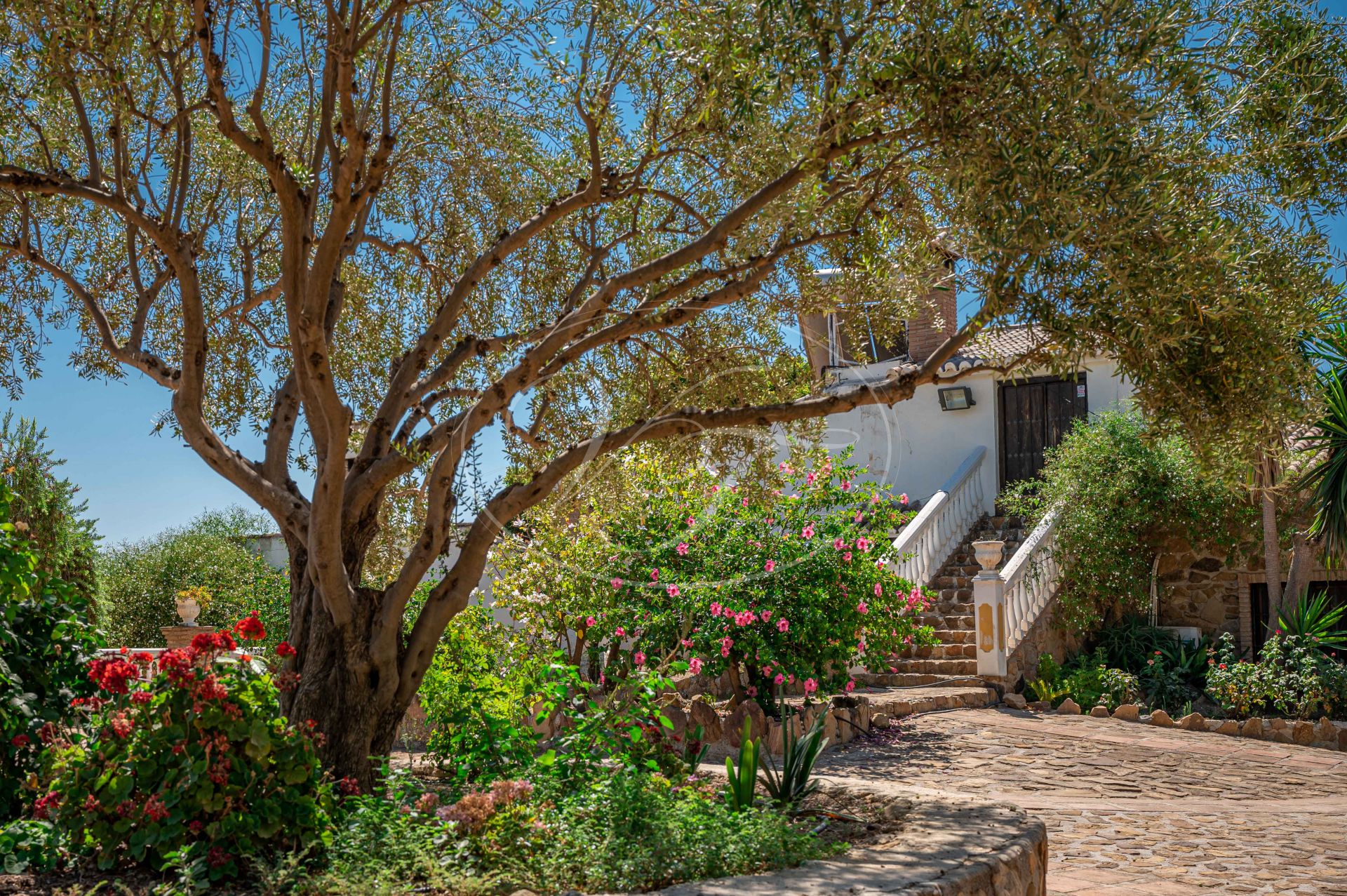 Large farm with stables, grazing land and olive grove, Casarabonela ...