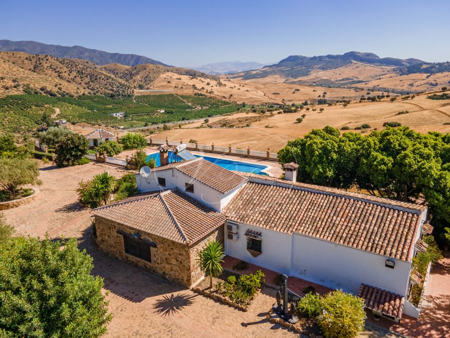Vineyards and Olive Groves For Sale in Andalusia | Villas & Fincas